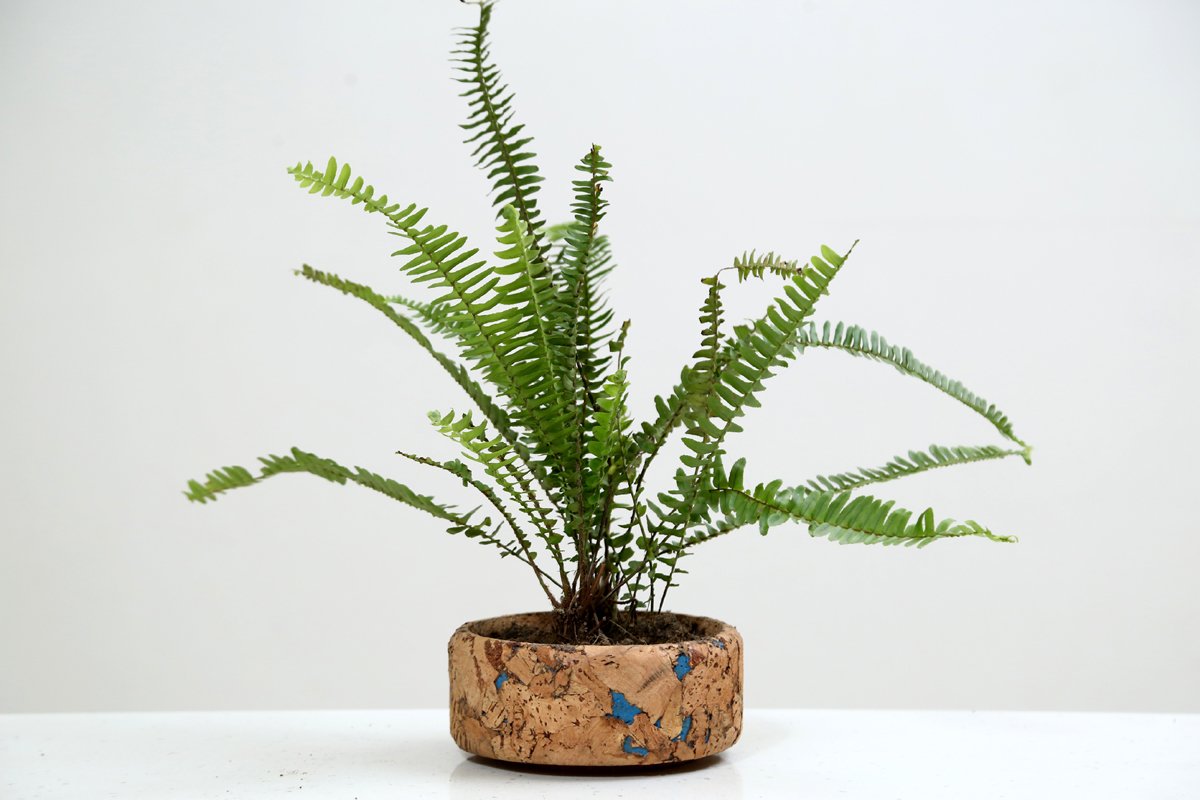 Buy Cork Serving Decor for Hotels & Restaurants | Eco-Friendly ...