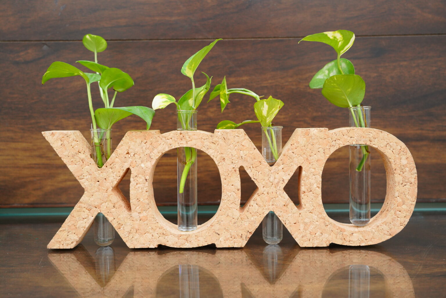 Buy Cork Test Tube Planters in India | Eco-Friendly Glass Plant Holders ...