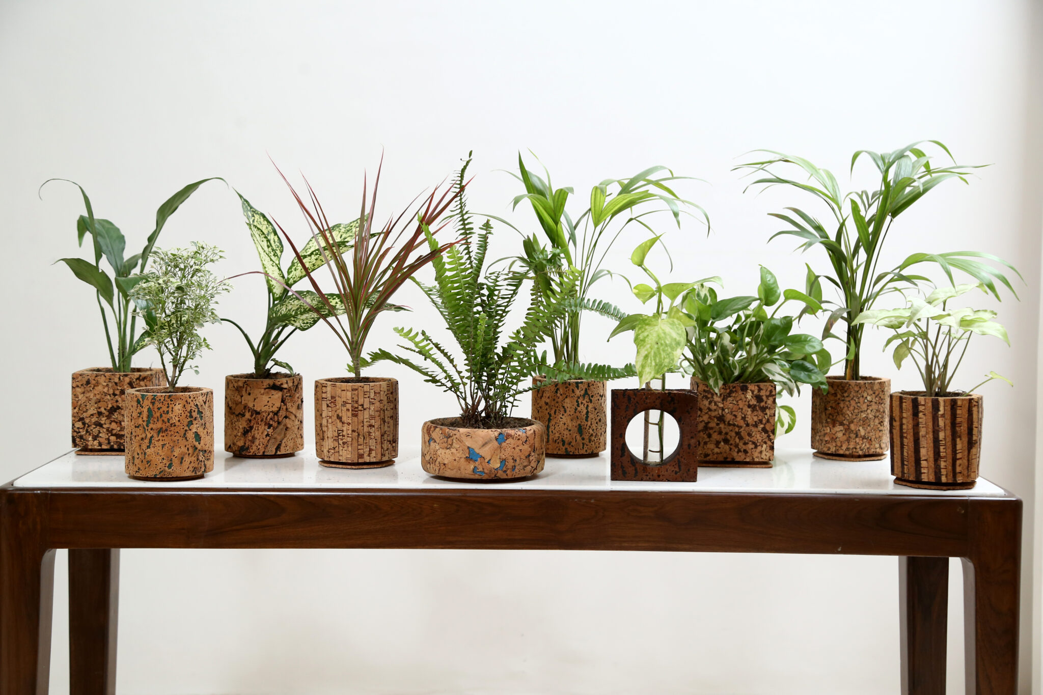 Premium Cork Products | Sustainable & Stylish | 9Cork