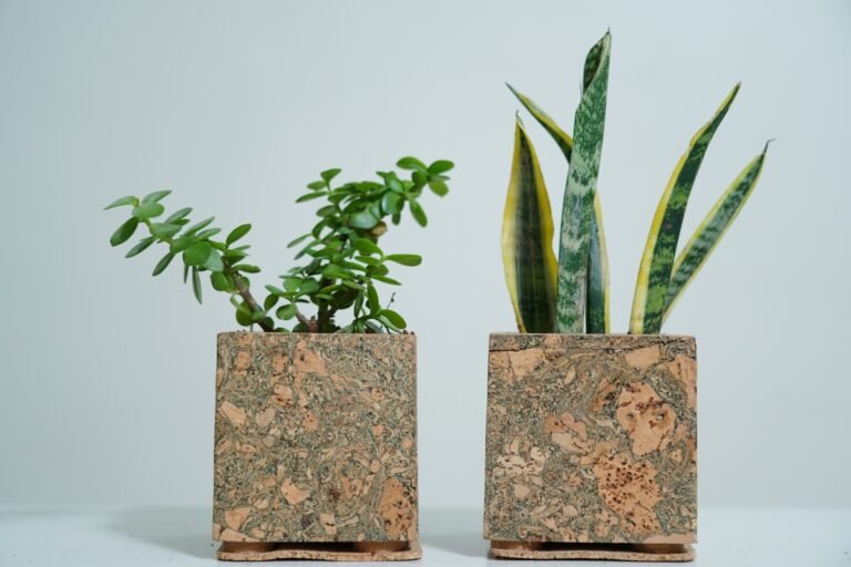 Buy Cork Serving Decor for Hotels & Restaurants | Eco-Friendly ...