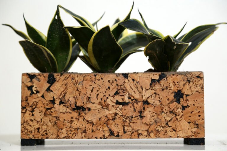 Buy Cork Serving Decor for Hotels & Restaurants | Eco-Friendly ...