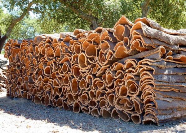 Premium Cork Products | Sustainable & Stylish | 9Cork