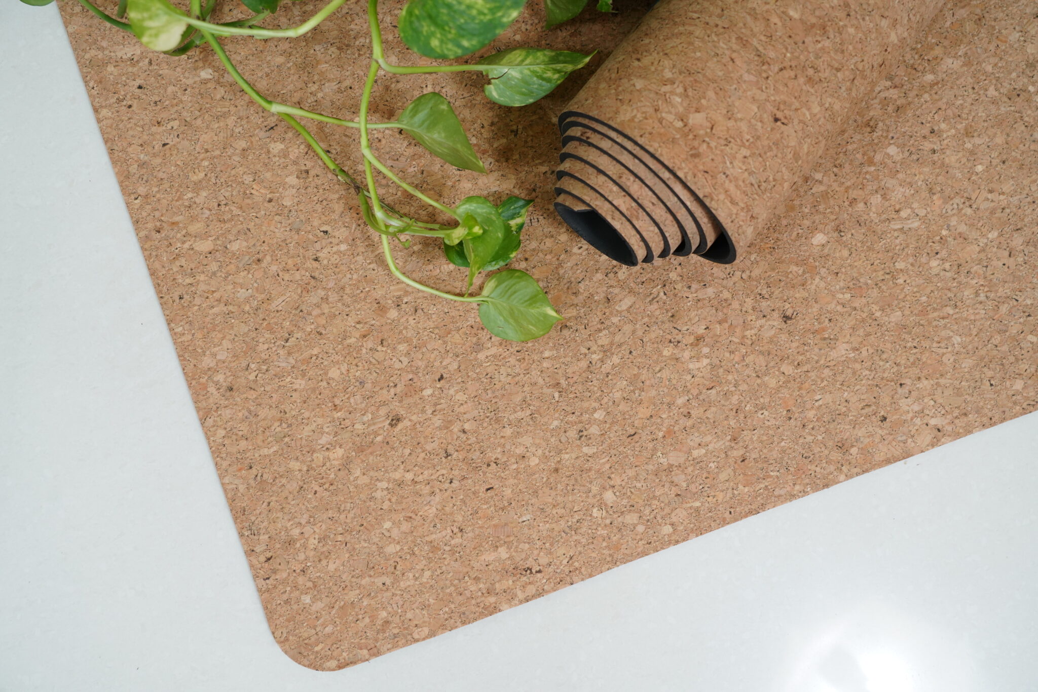 Cork Yoga Mats: Stylish & Eco-Friendly Fitness Choice | 9Cork