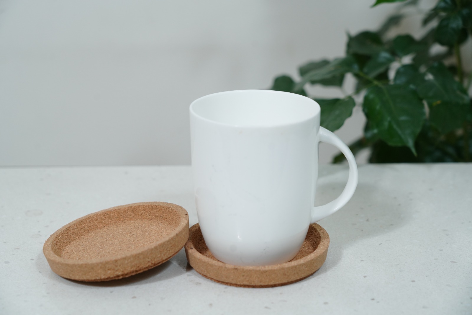 Buy Cork Coasters Online in India | Eco-Friendly Drink Coaster Sets | 9Cork