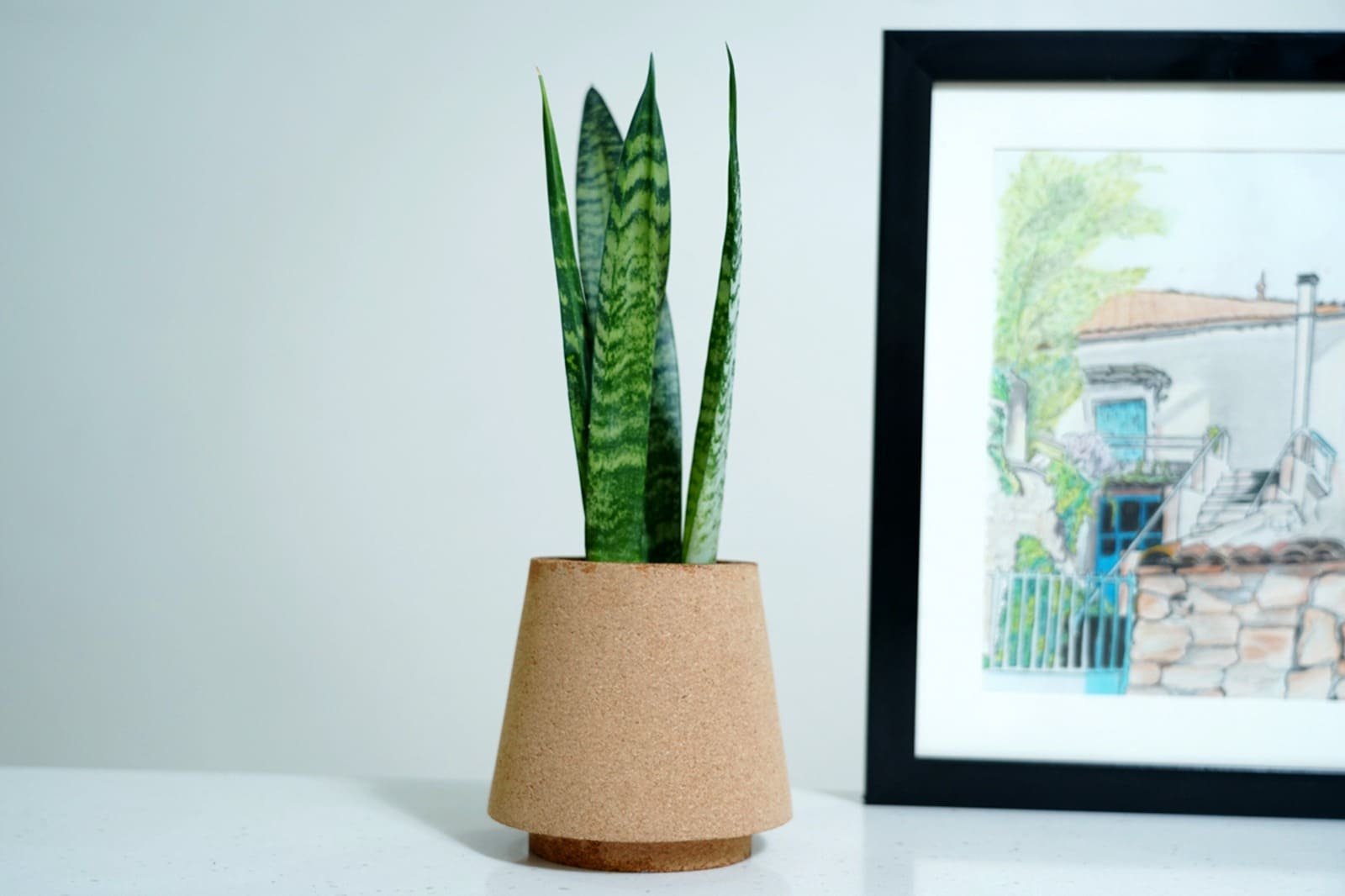 Buy Cork Serving Decor for Hotels & Restaurants | Eco-Friendly ...