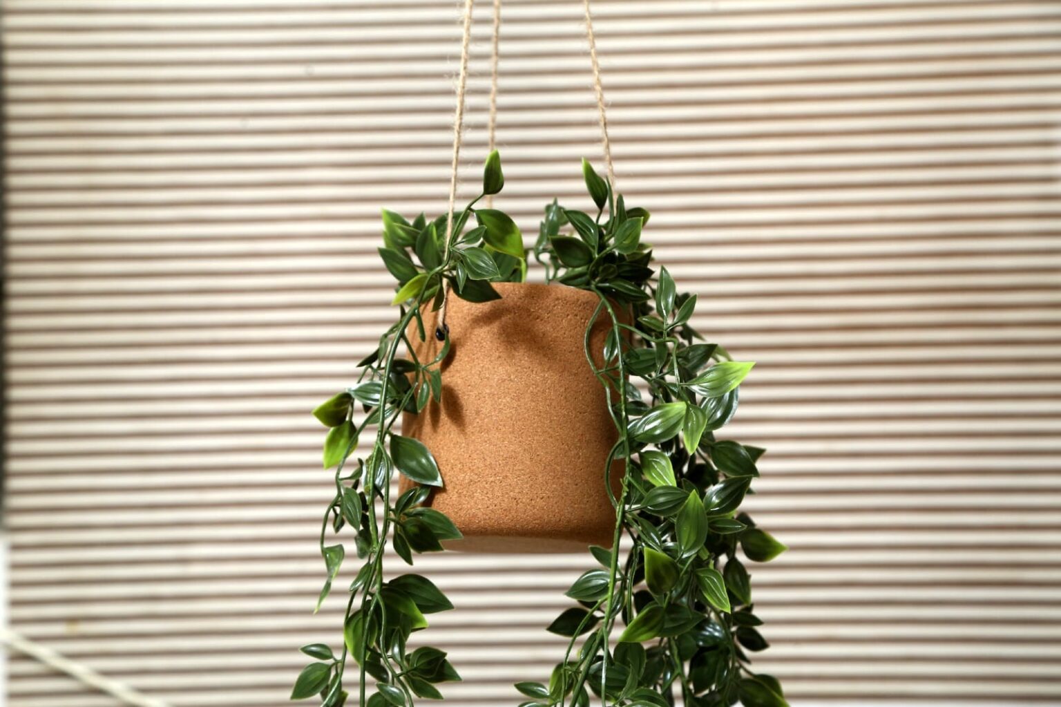 Buy Cork Serving Decor for Hotels & Restaurants | Eco-Friendly ...